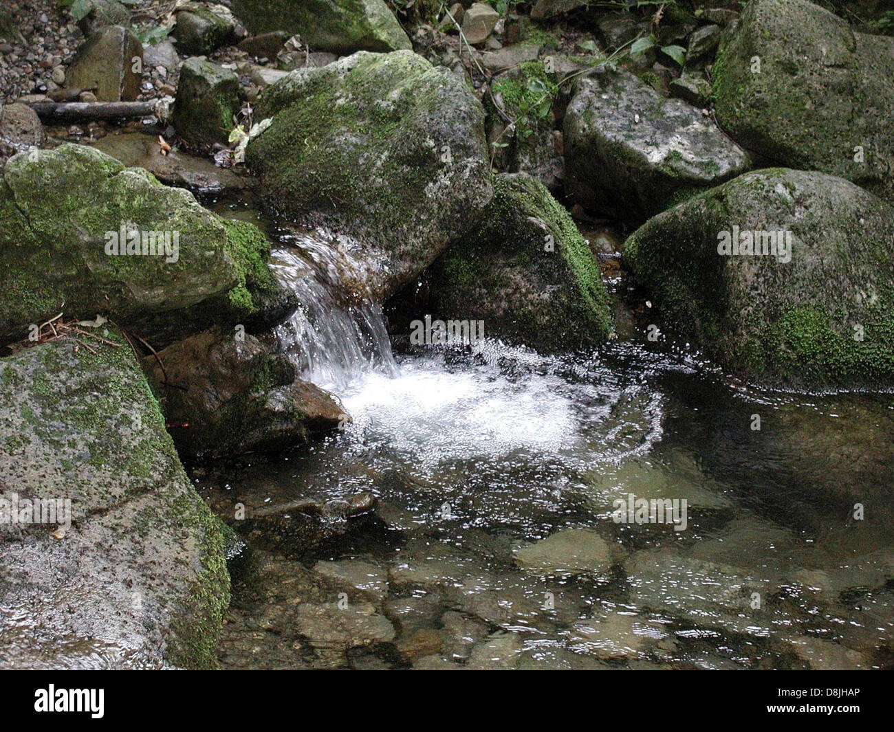 A stream flowing through a national habitat, highlighting the natural ...