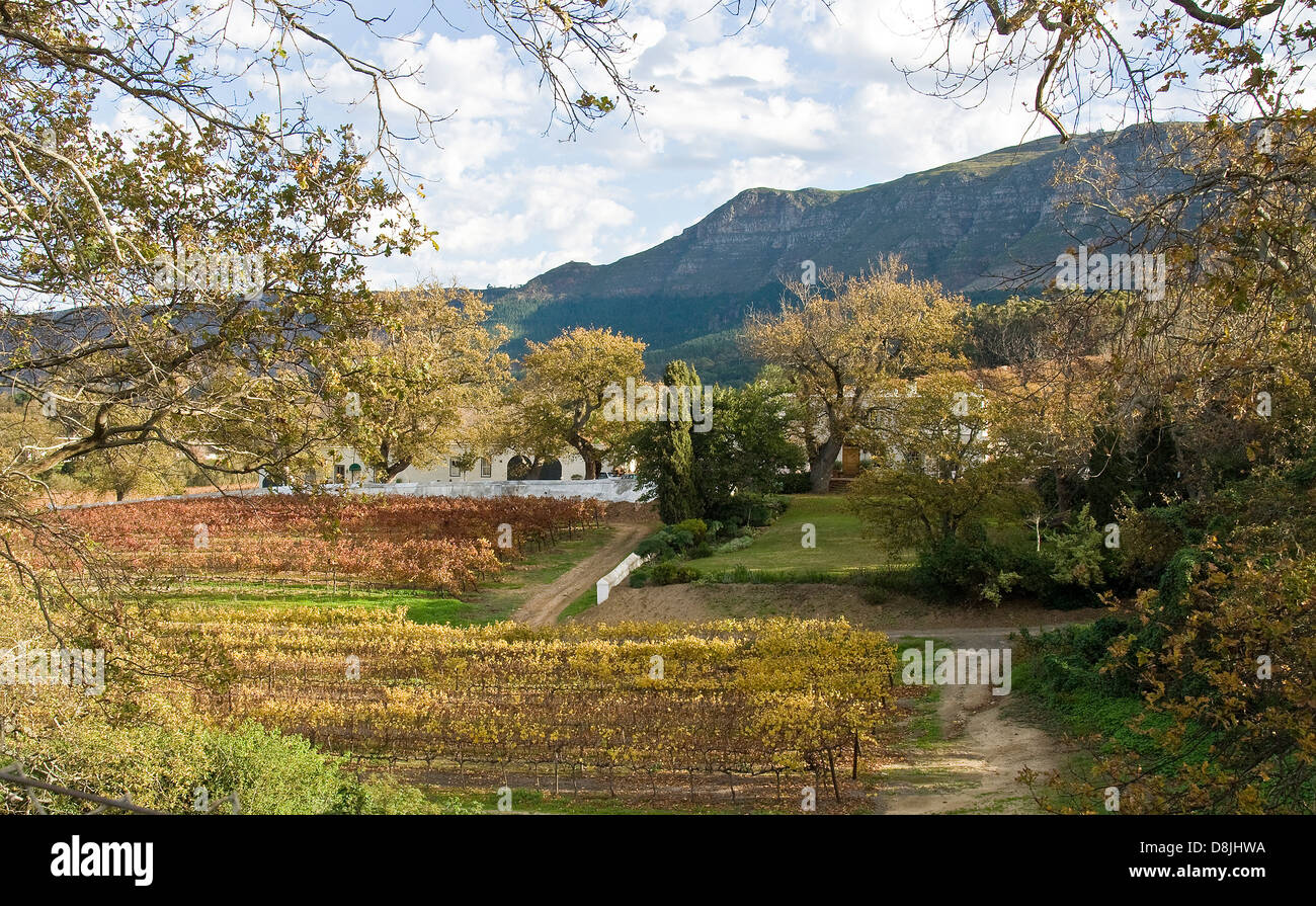 View across Constantia Valley wine farm, Cape Town Stock Photo - Alamy