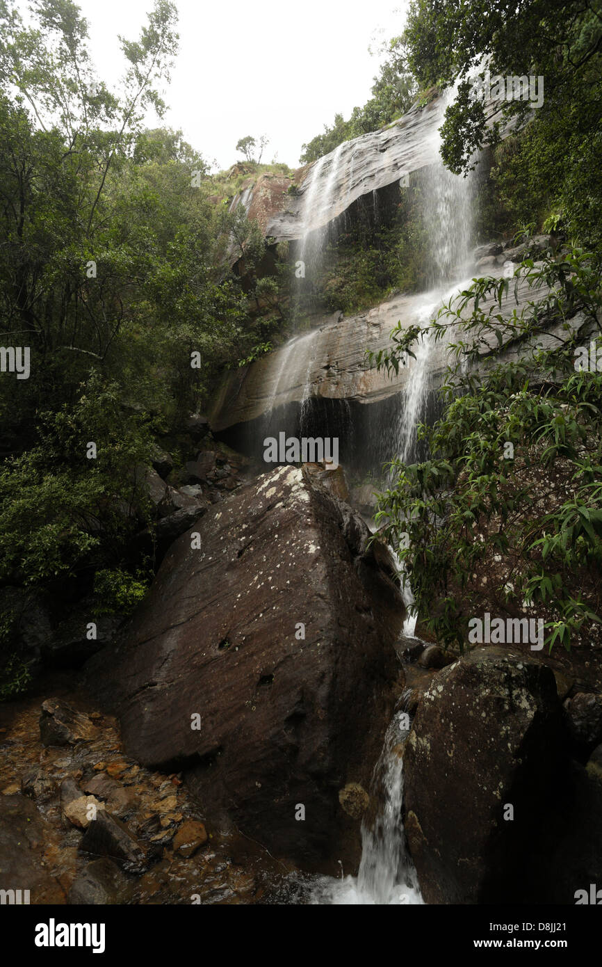 Tiger at waterfall hi-res stock photography and images - Alamy