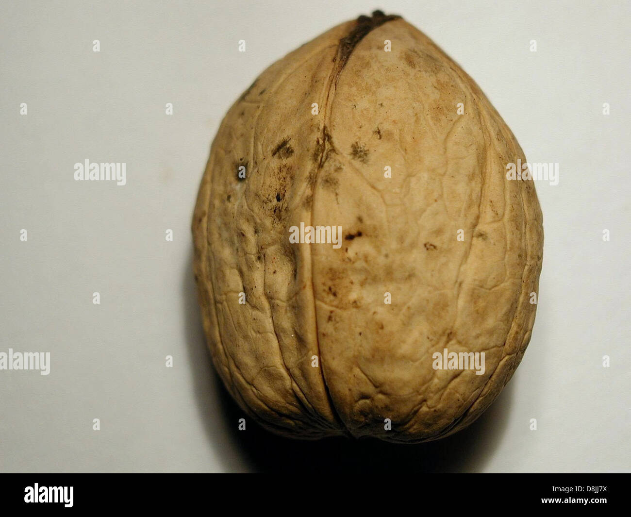 Nut high resolution Stock Photo - Alamy