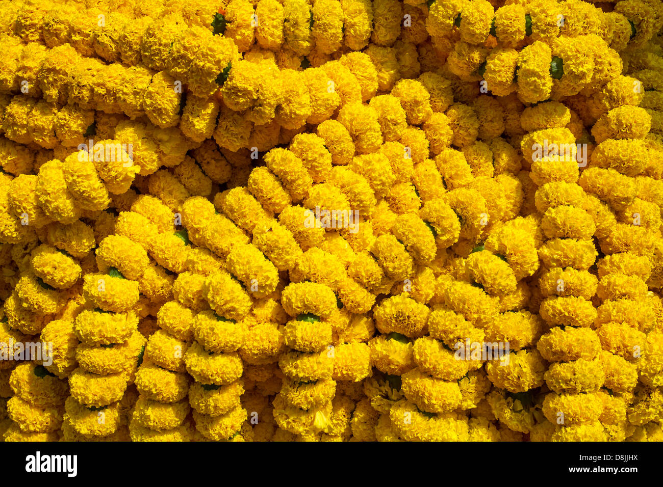 Marigold garland hi-res stock photography and images - Alamy