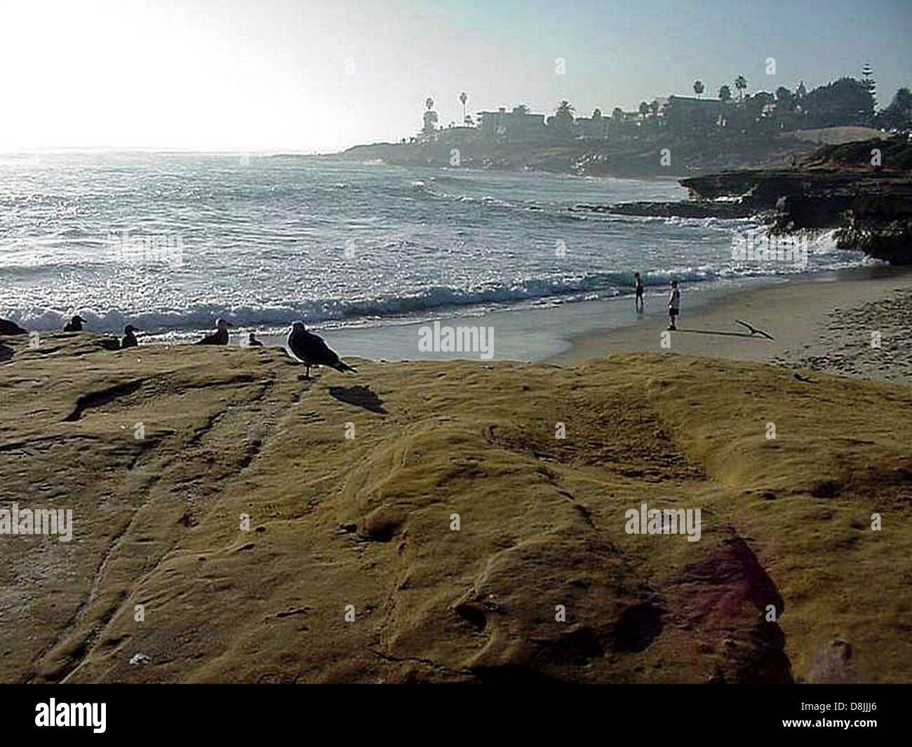Ocean waves crash along a sandy beach, creating a serene coastal ...