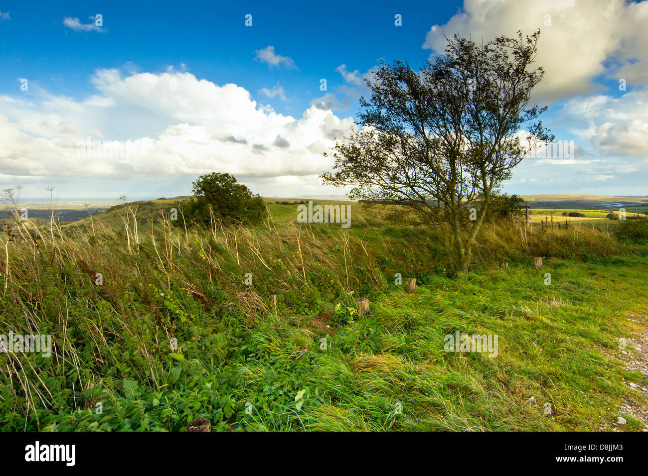 Ditchling hi-res stock photography and images - Alamy