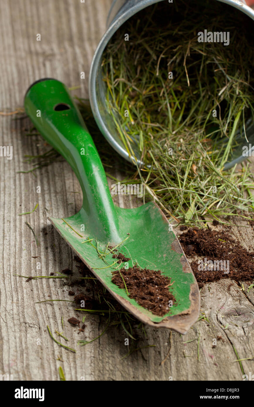 Green garden spade with ground and grass on old wooden desk Stock Photo ...