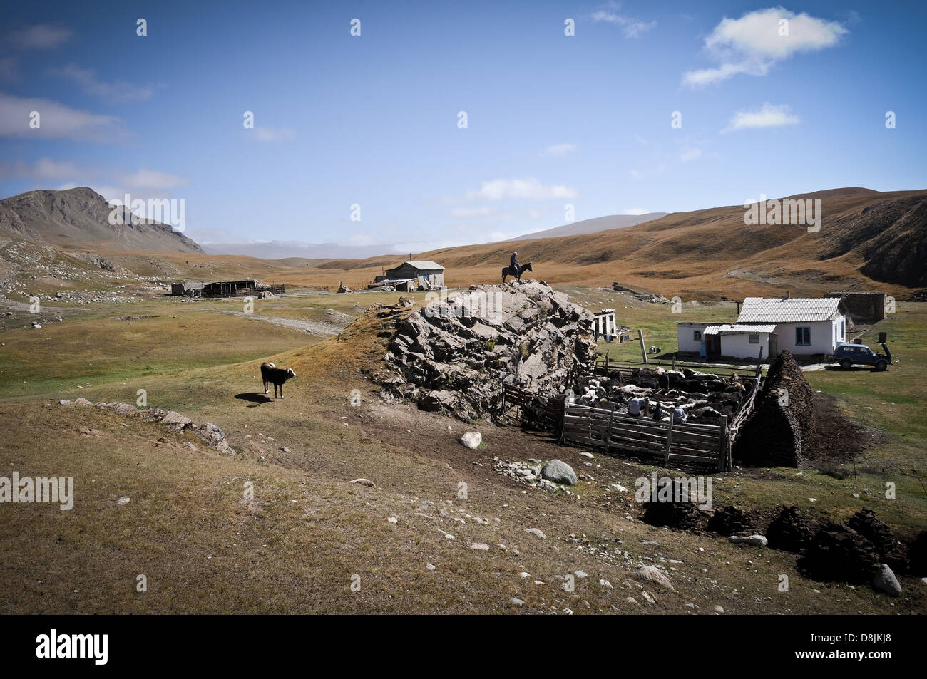 Life in a remote settlement in Kyrgyzstan Stock Photo - Alamy