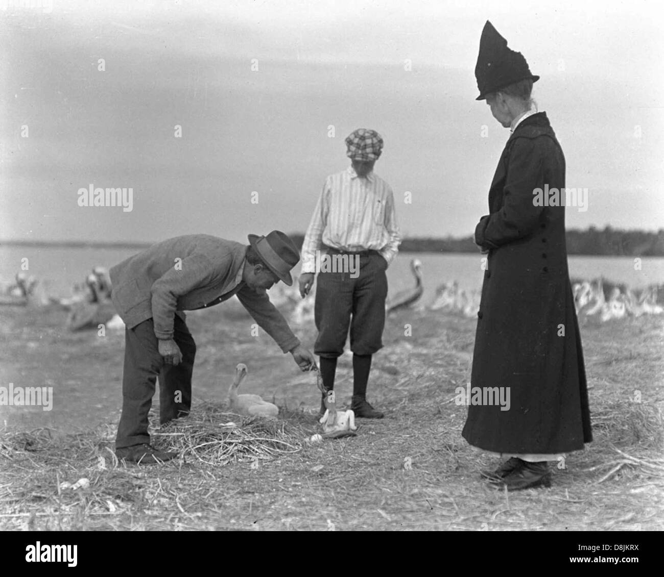 An old-time photograph of men holding birds, capturing a moment from a ...