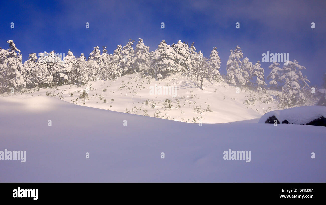 Tamagawa japan hi-res stock photography and images - Alamy