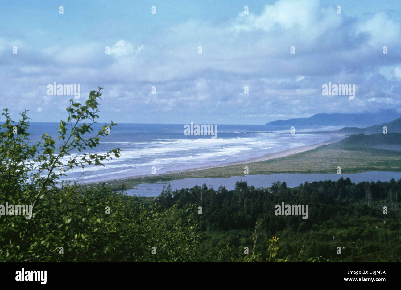 This image shows a scenic view of the Oregon Coast, known for its ...