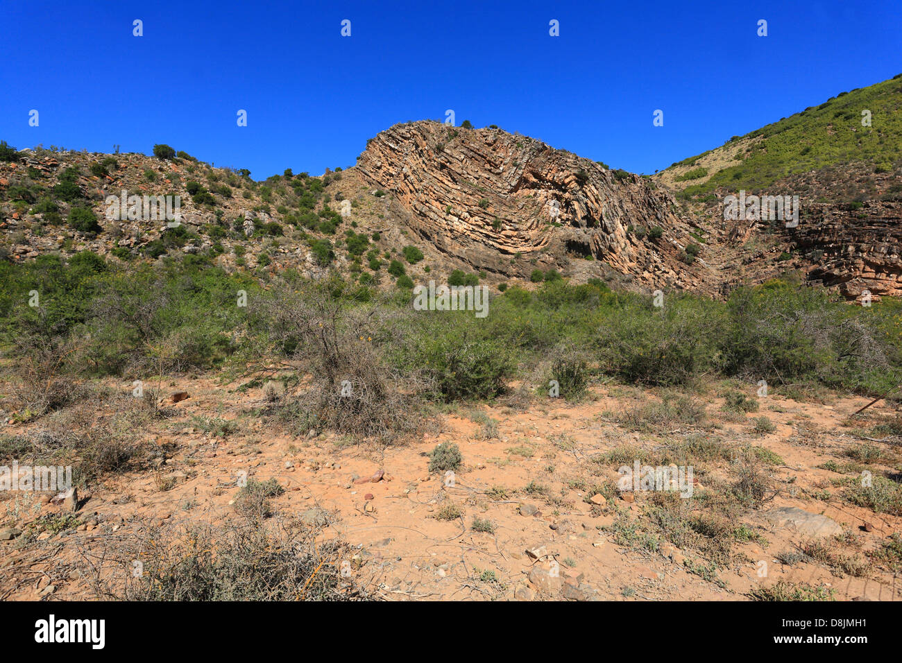Folded rock formation in the Karroo region of South Africa Stock Photo ... Folded rock formation in the Karroo region of South Africa Stock Photo ...