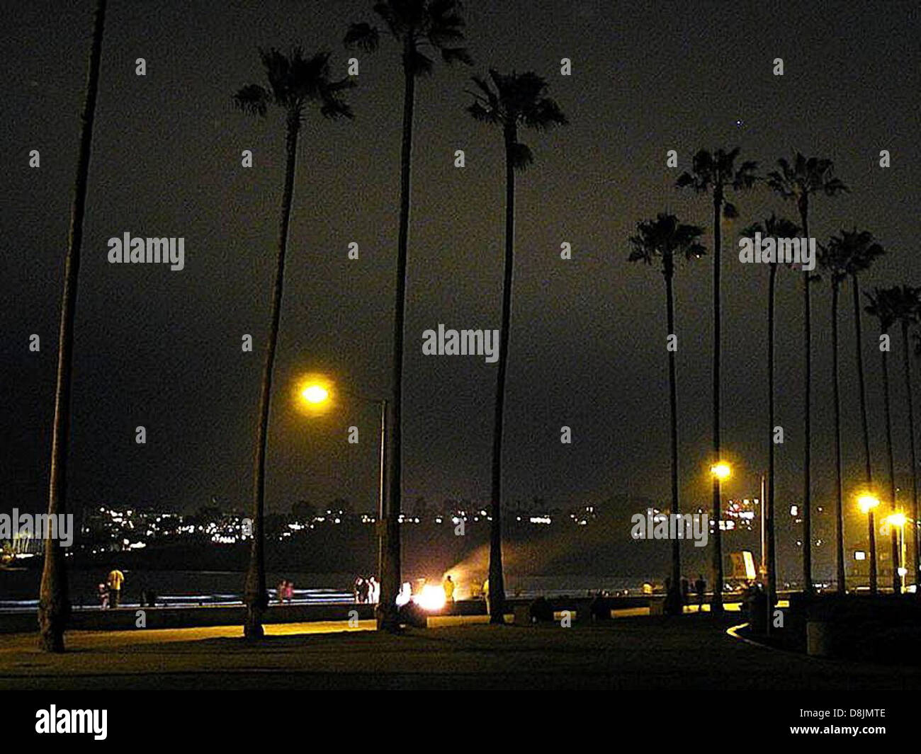 Palm trees beaches night Stock Photo - Alamy