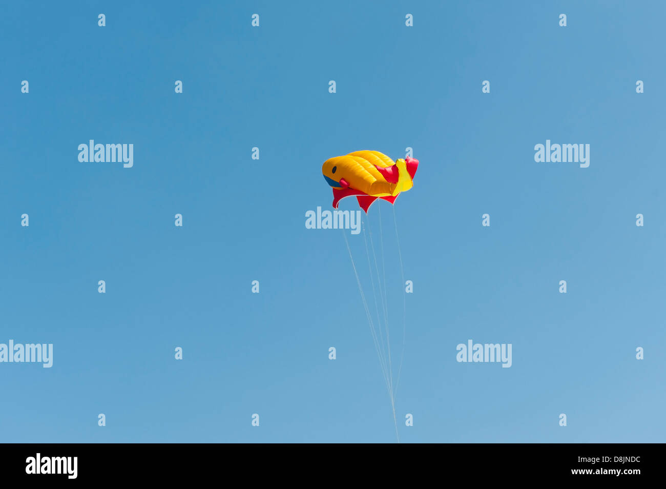 Blue whale kite hi-res stock photography and images - Alamy
