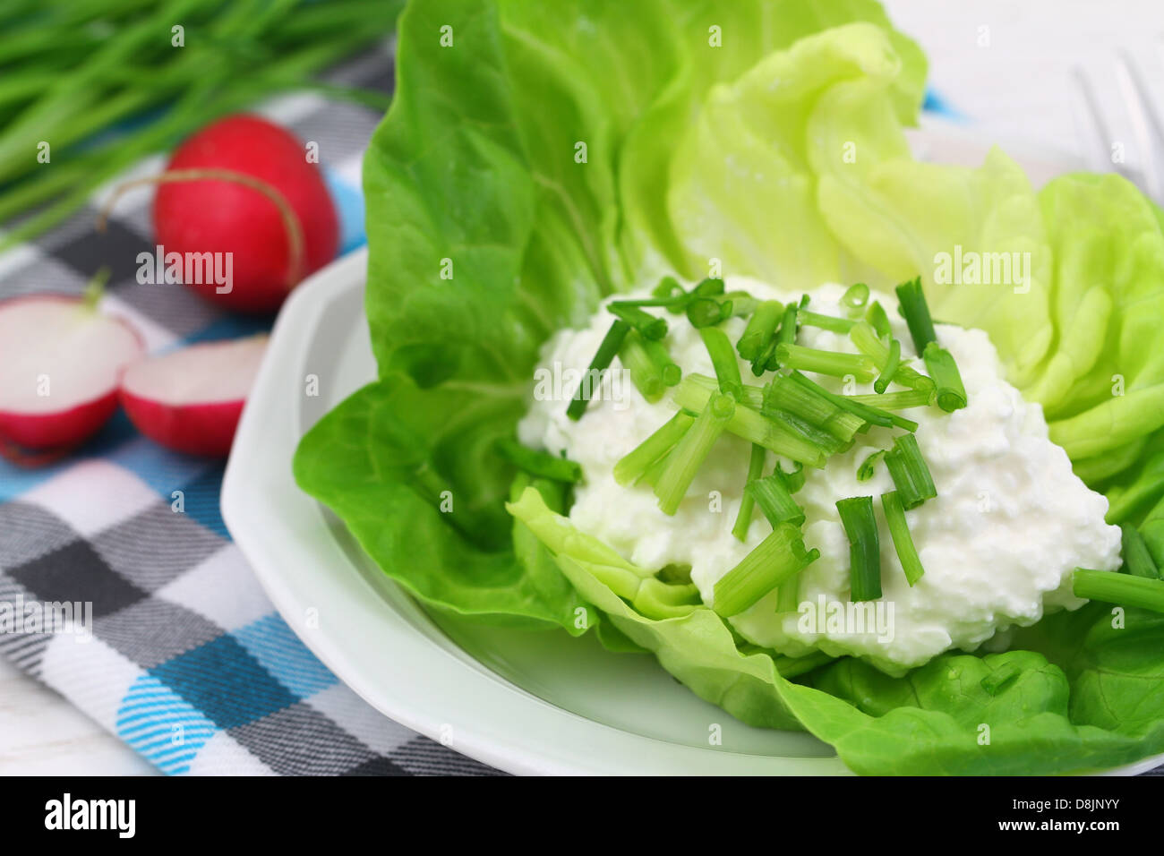 Cottage cheese with chives Stock Photo - Alamy