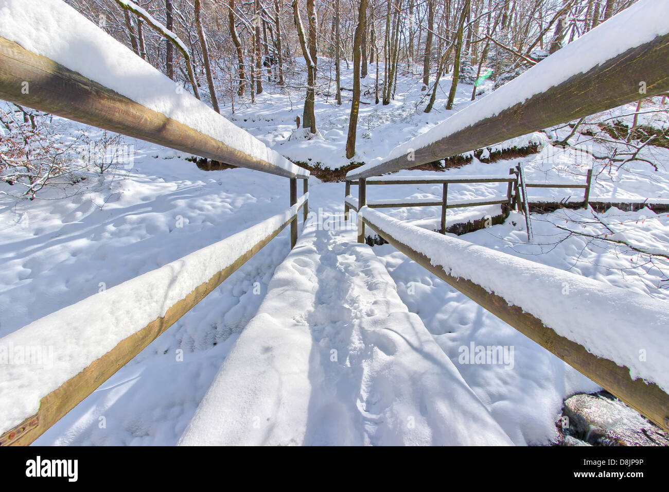 Covered bridge in forest hi-res stock photography and images - Alamy