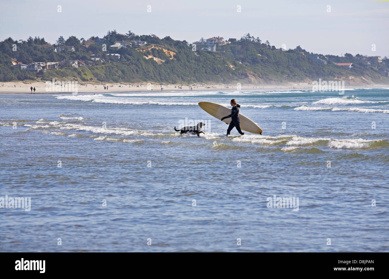 A surfer heads for the water of the Pacific Ocean on Agate Beach, in ...