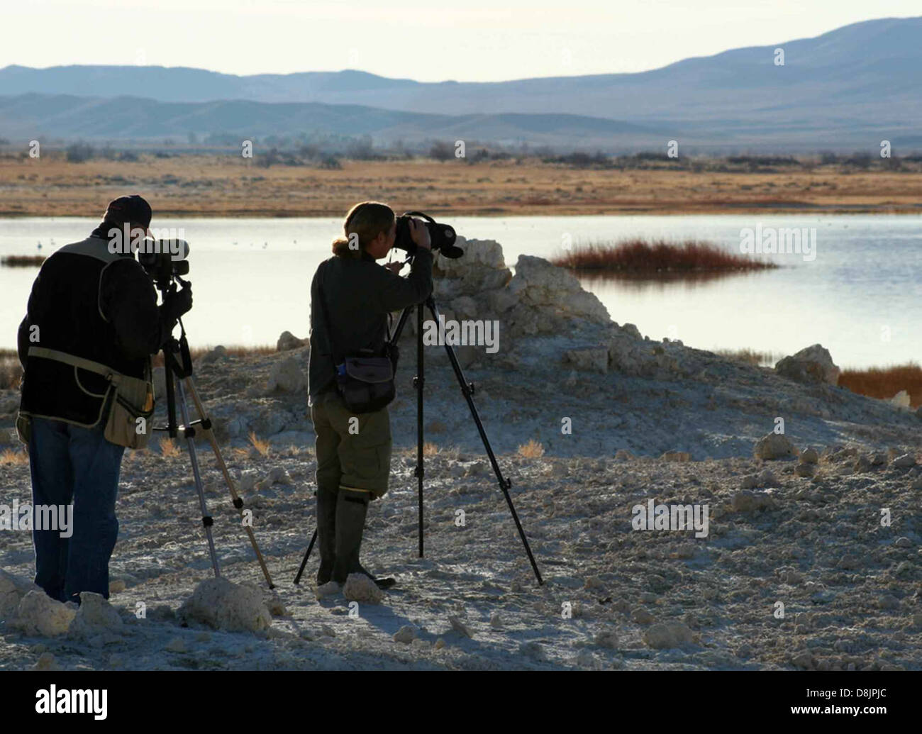 A group of people observing wildlife in a scenic outdoor setting, such ...