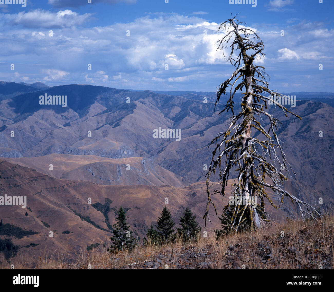 Hells canyon overlook, Hells Canyon National Park, Oregon, USA Stock ... Hells canyon overlook, Hells Canyon National Park, Oregon, USA Stock ...