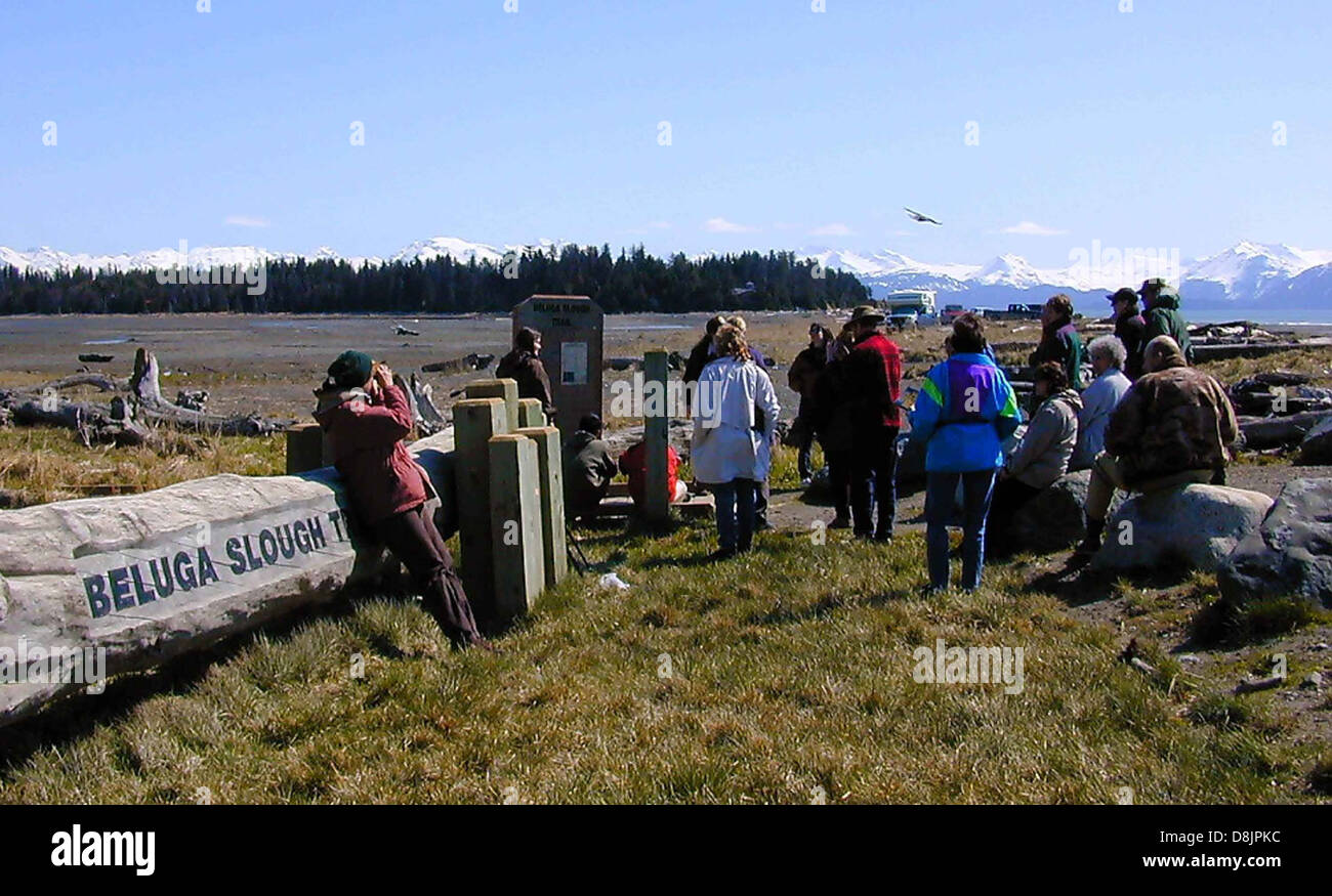 A group of people engaged in wildlife viewing, observing animals in ...