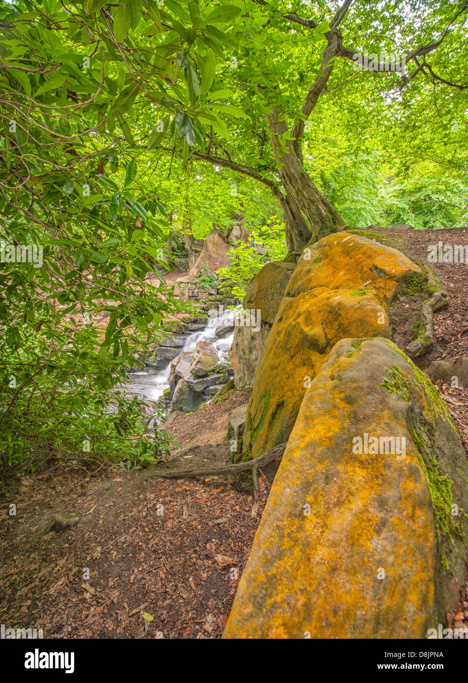 Glimpse of a waterfall through canopy of trees Stock Photo - Alamy