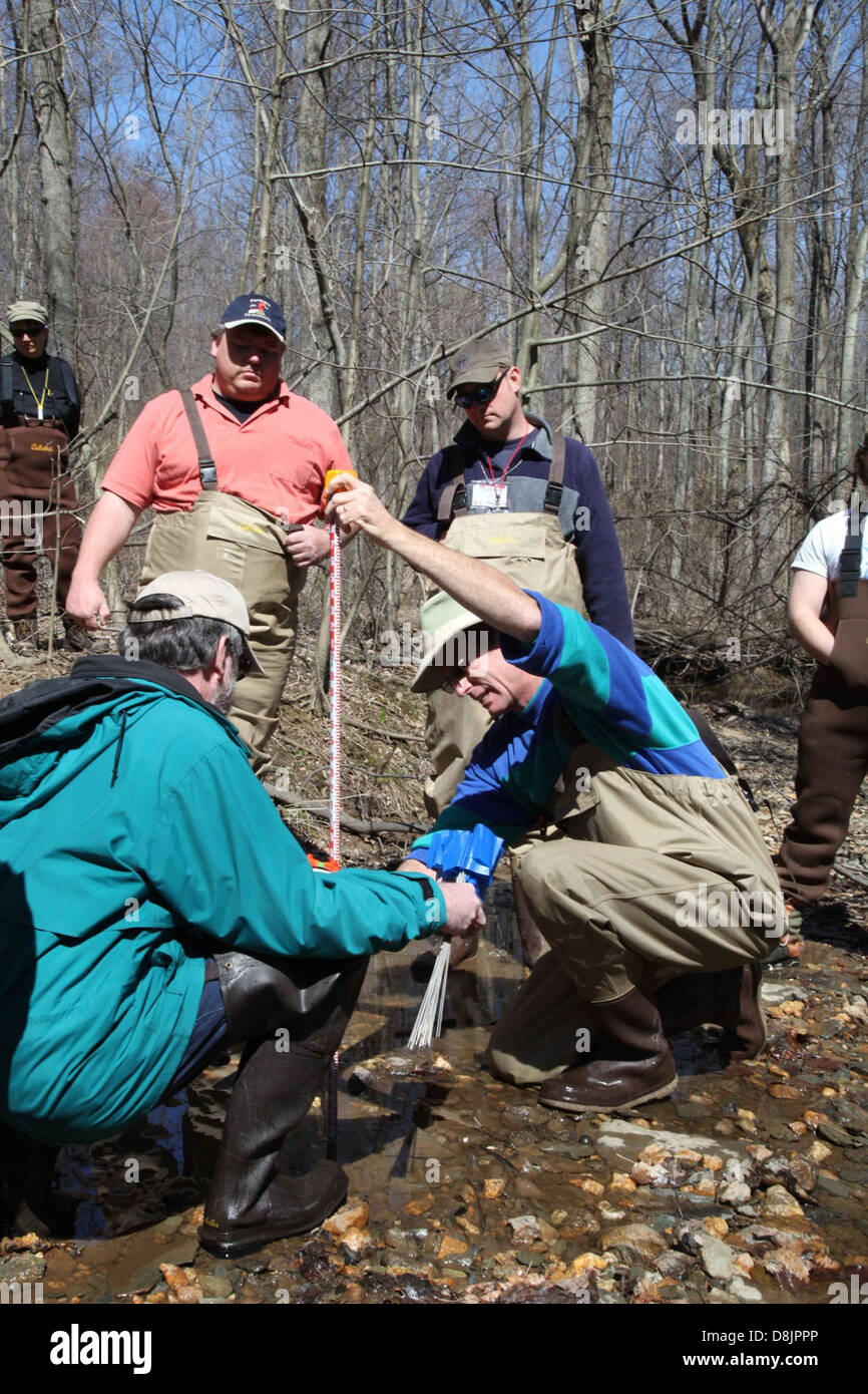 A group of people work in a wild forest, likely engaging in ...