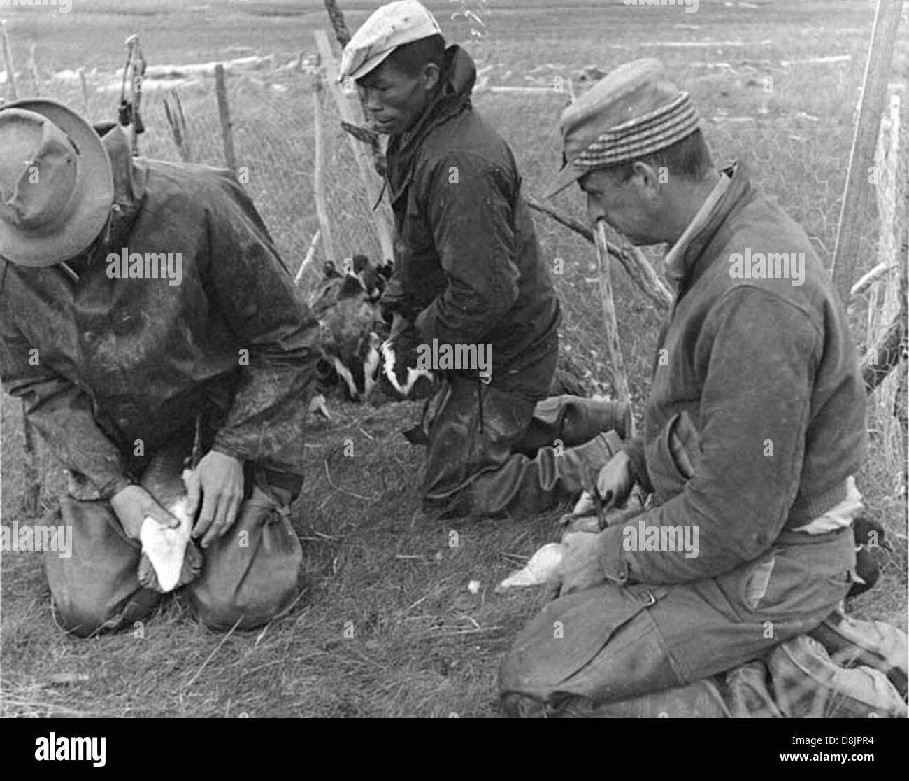 An old photograph capturing people working in a traditional setting ...