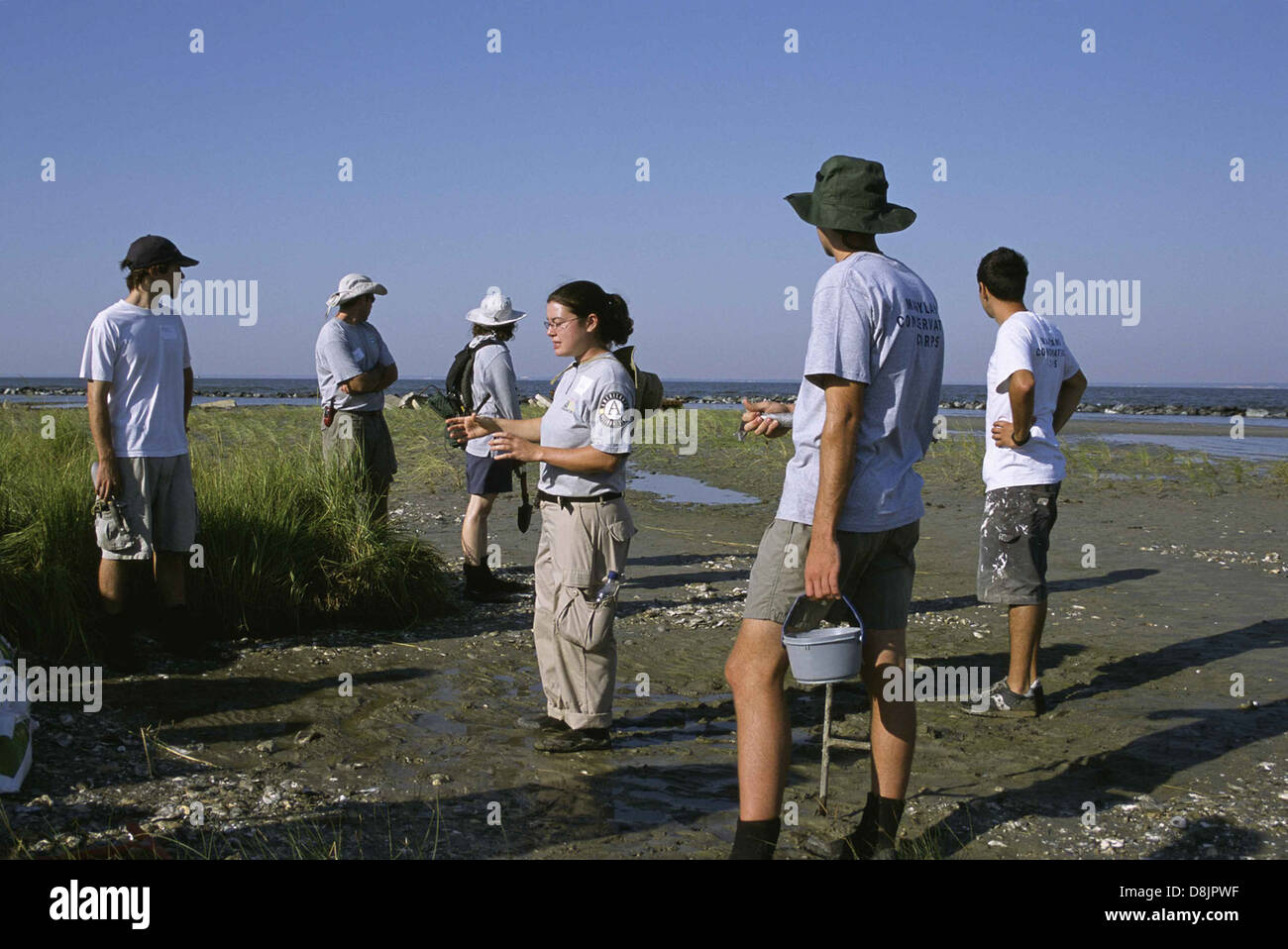 People work together to restore a marsh habitat, focusing on the ...