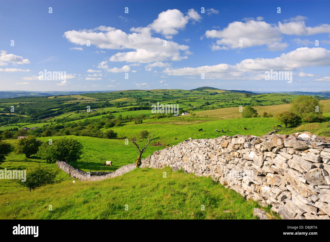 Llandeilo hi-res stock photography and images - Alamy