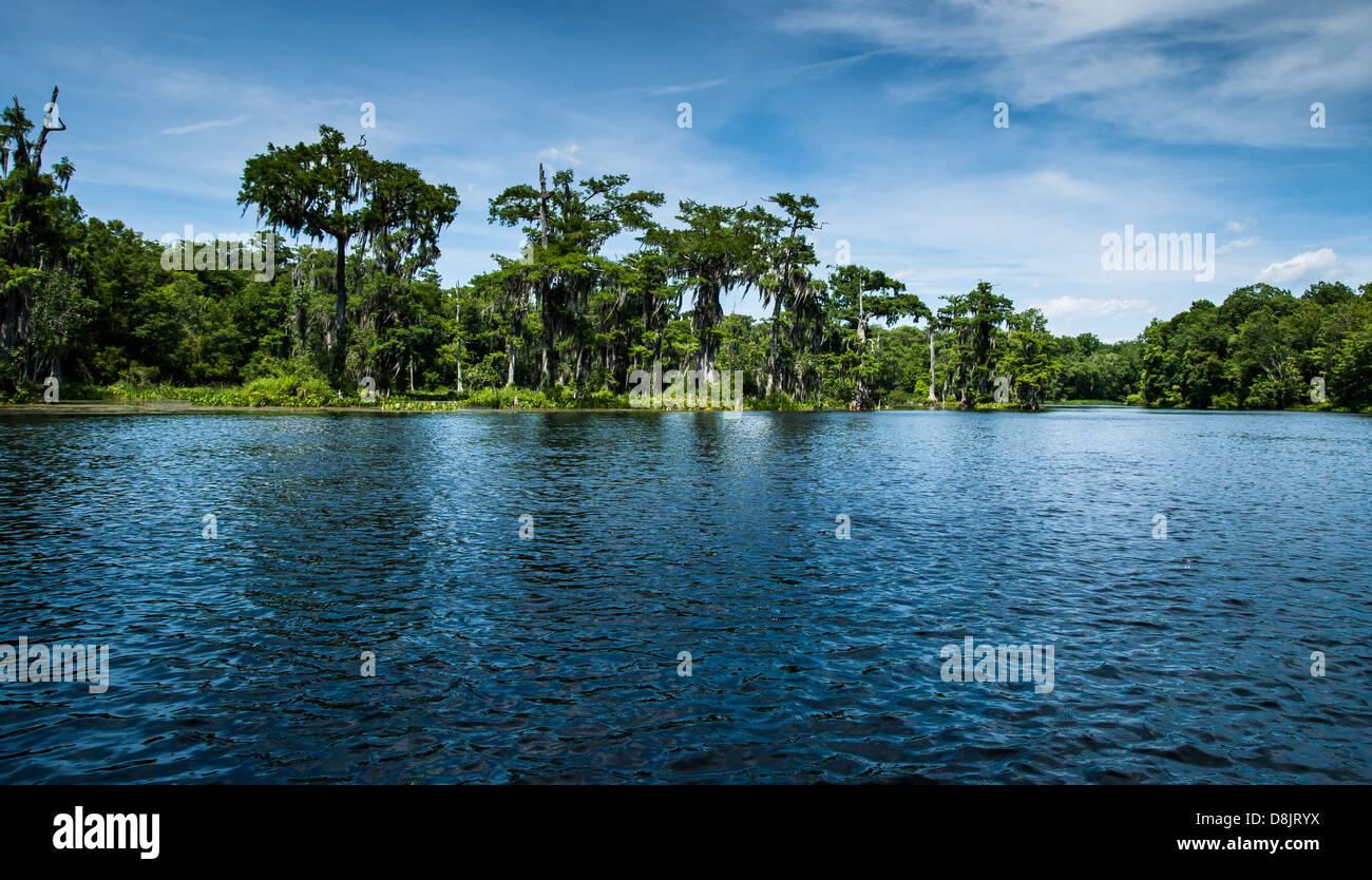 Wakulla spring hi-res stock photography and images - Alamy