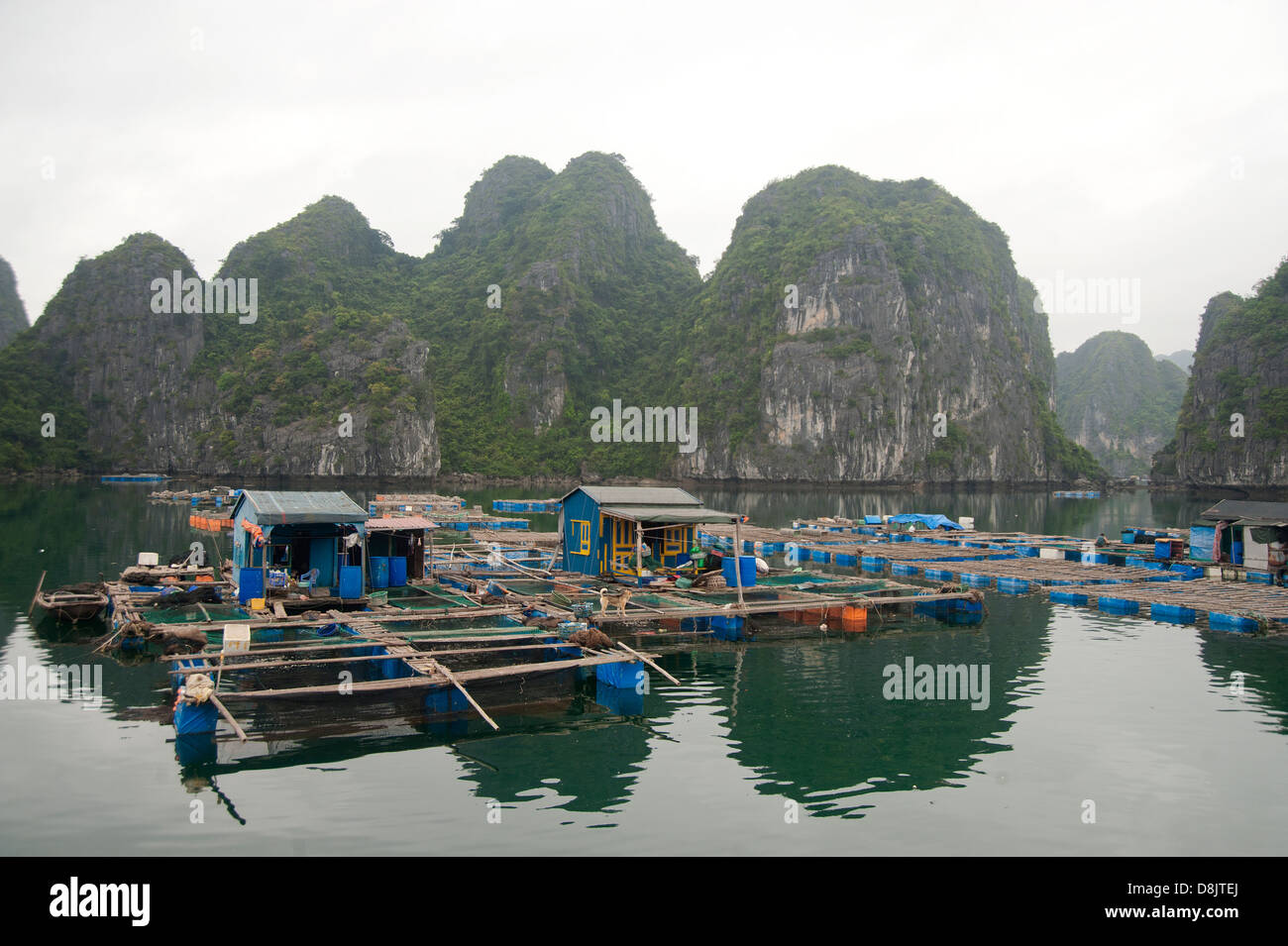 Halong Bay, Vietnam - Floating village Stock Photo - Alamy