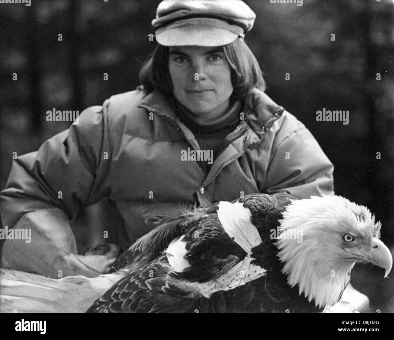 A person is shown carefully handling an injured eagle, highlighting the ...