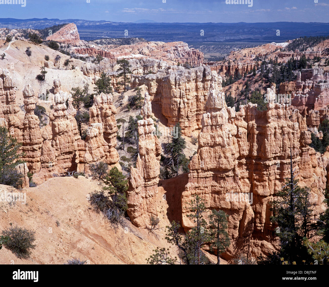 Hoodoos caused by erosion, Bryce Canyon National Park, Utah, USA Stock ...