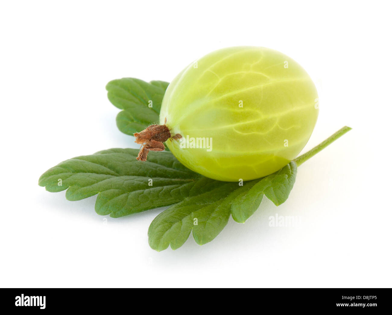 Gooseberries isolated on white background Stock Photo - Alamy
