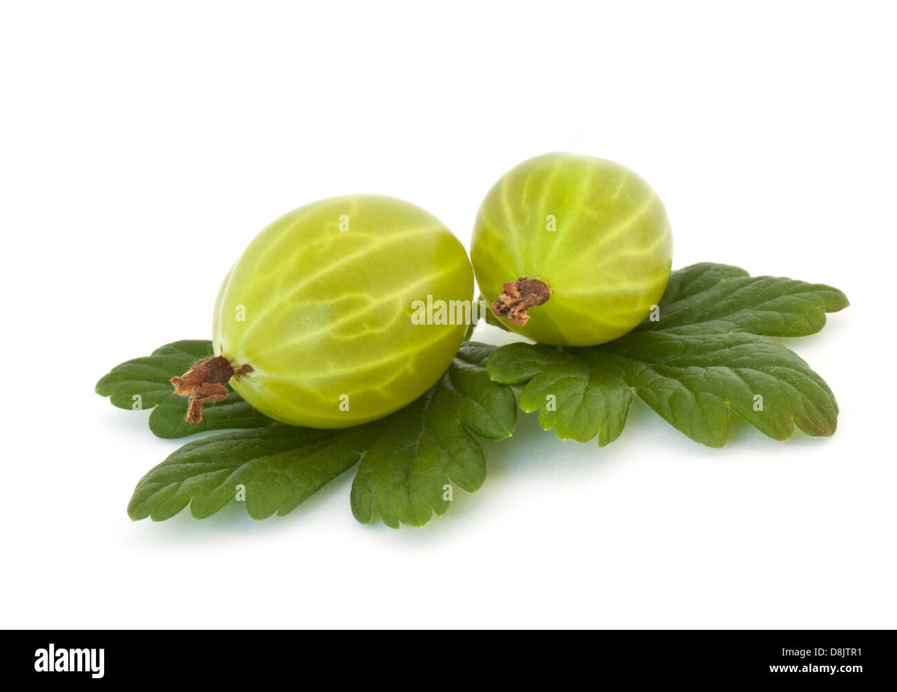 Gooseberries isolated on white background Stock Photo - Alamy