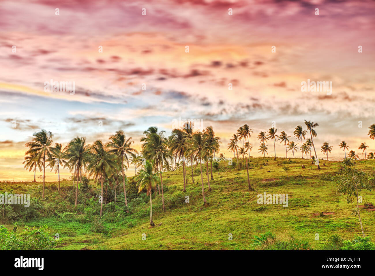 Philippine rural landscape hi-res stock photography and images - Alamy
