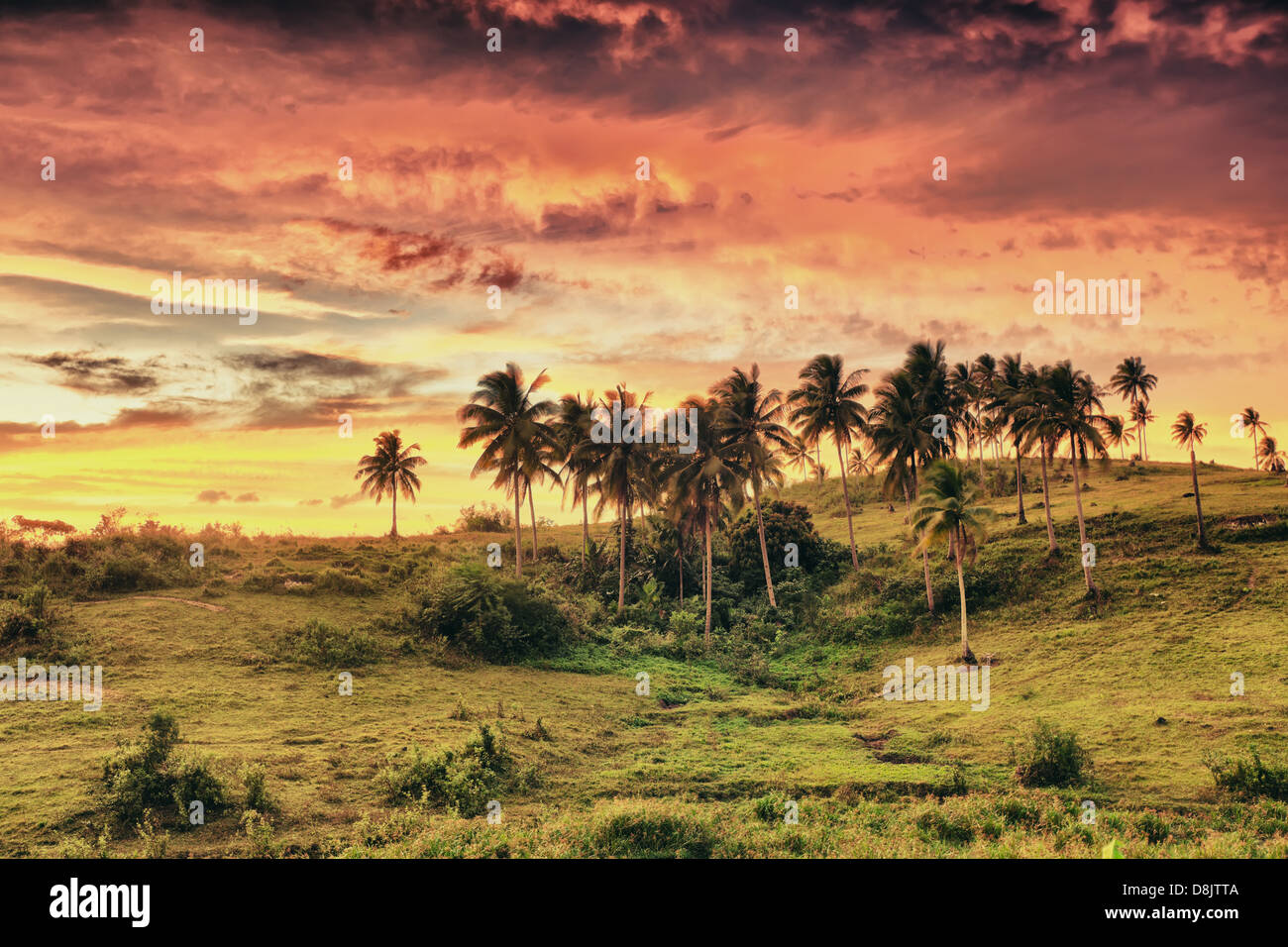 Philippine rural landscape hi-res stock photography and images - Alamy