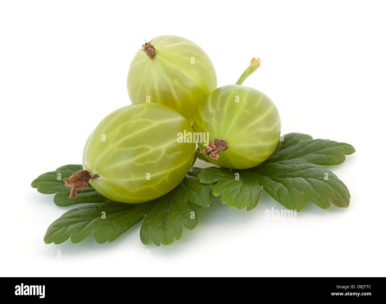 Gooseberries isolated on white background Stock Photo - Alamy