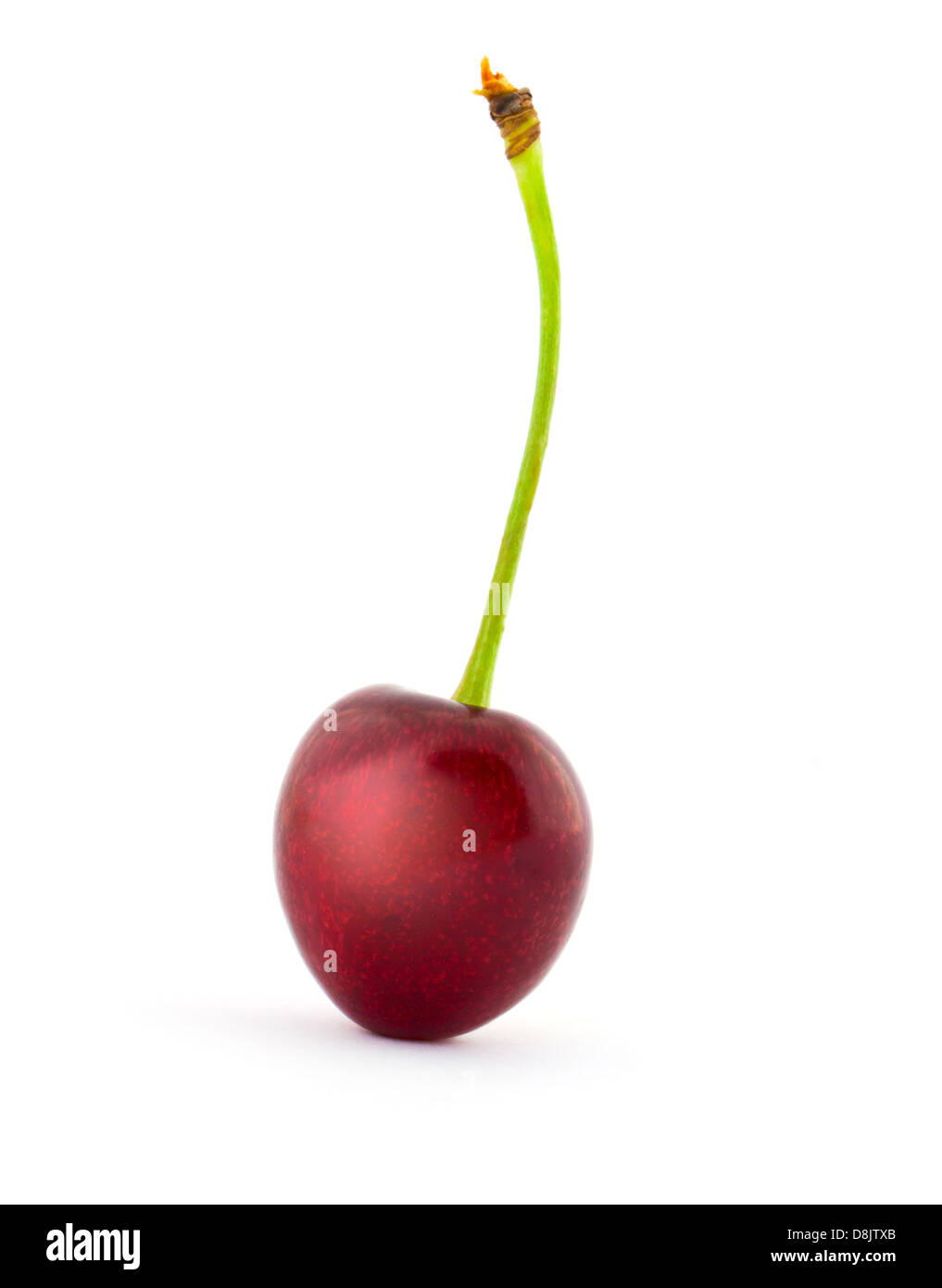 Sweet cherry isolated on white background Stock Photo - Alamy