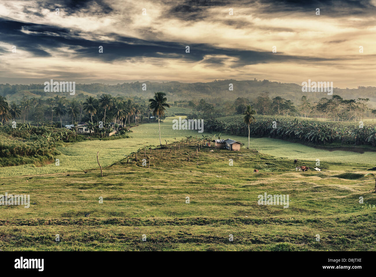 Philippine rural landscape hi-res stock photography and images - Alamy