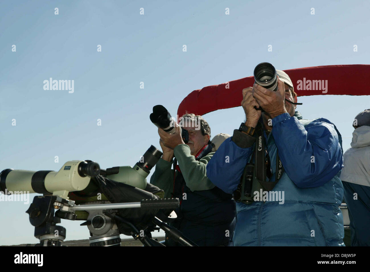 A group of photographers capturing images with cameras in various ...