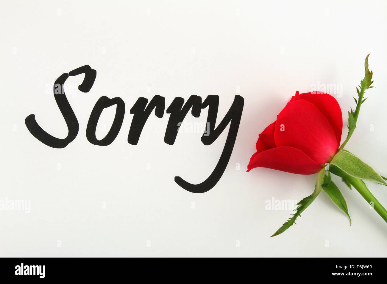 Sorry excuse hi-res stock photography and images - Alamy