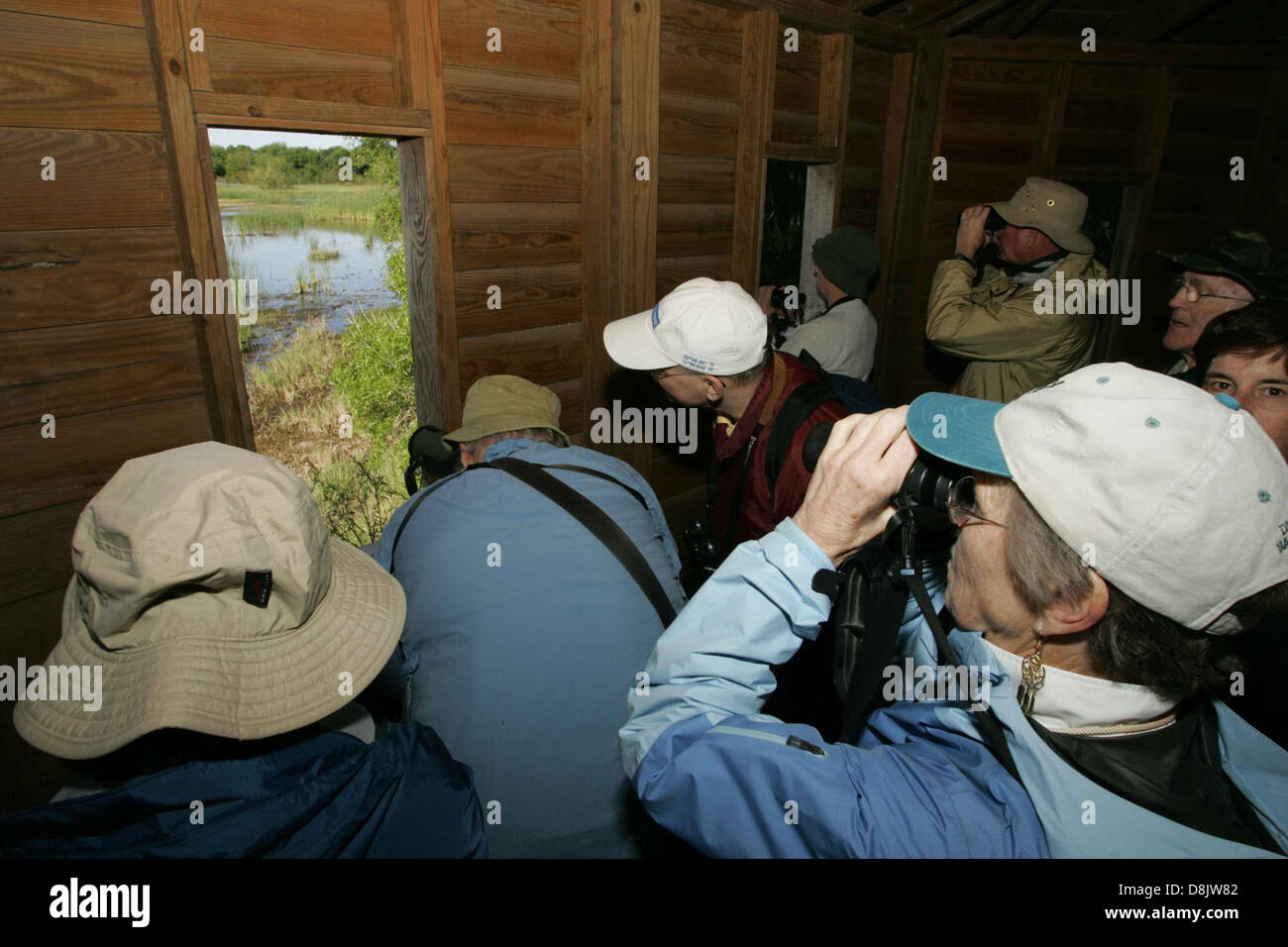 Photographers capture images of wildlife through a window, highlighting ...