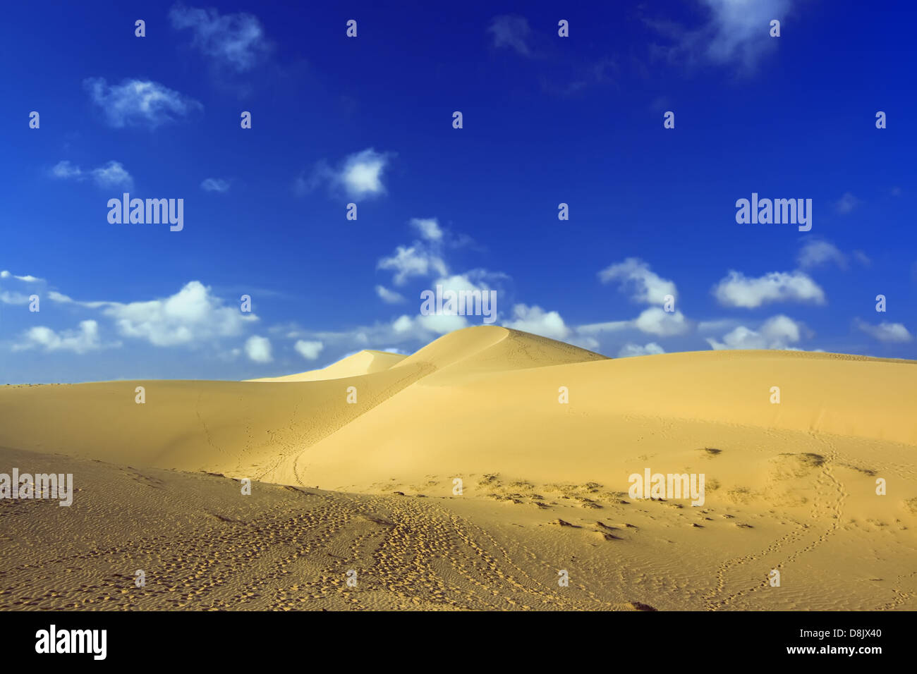 Footprints gobi desert hi-res stock photography and images - Alamy
