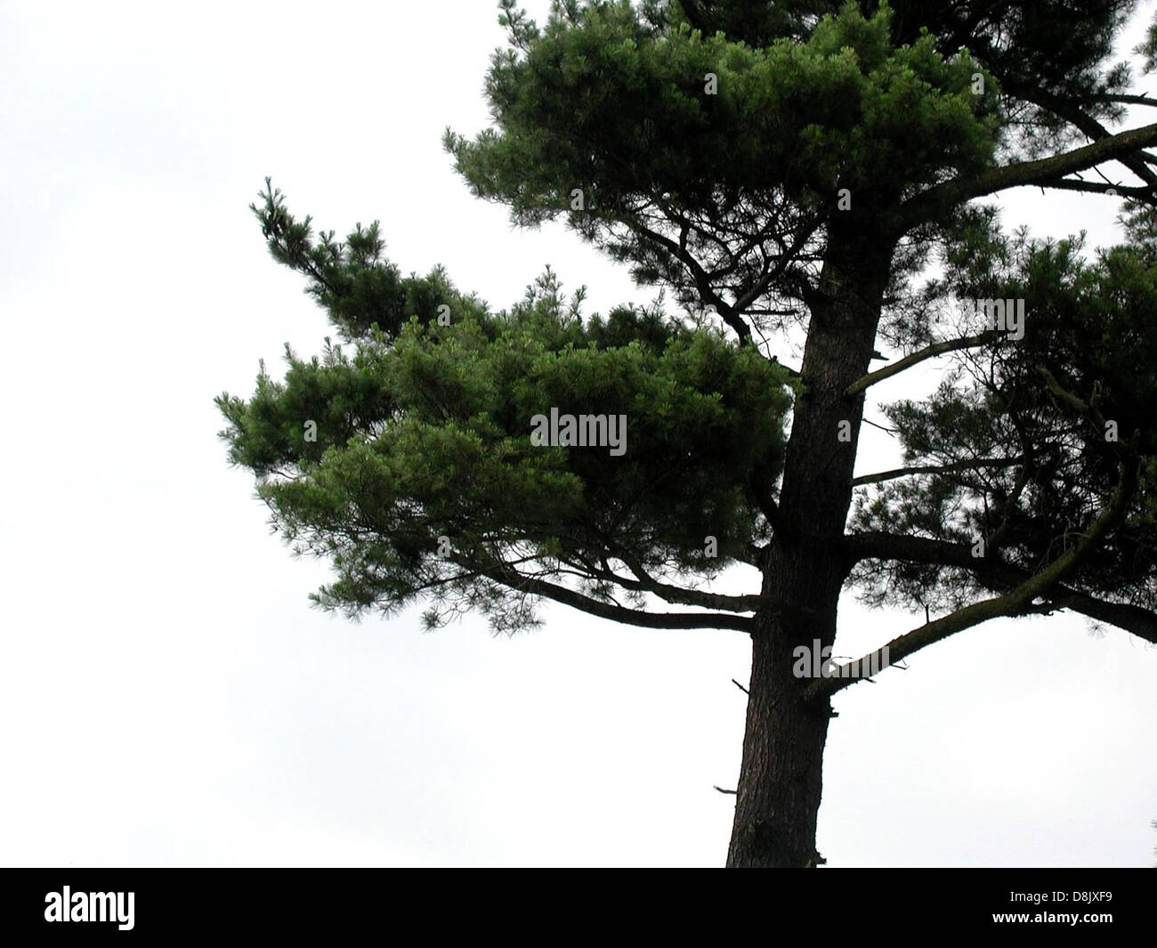 Distinctive silhouette stands hi-res stock photography and images - Alamy