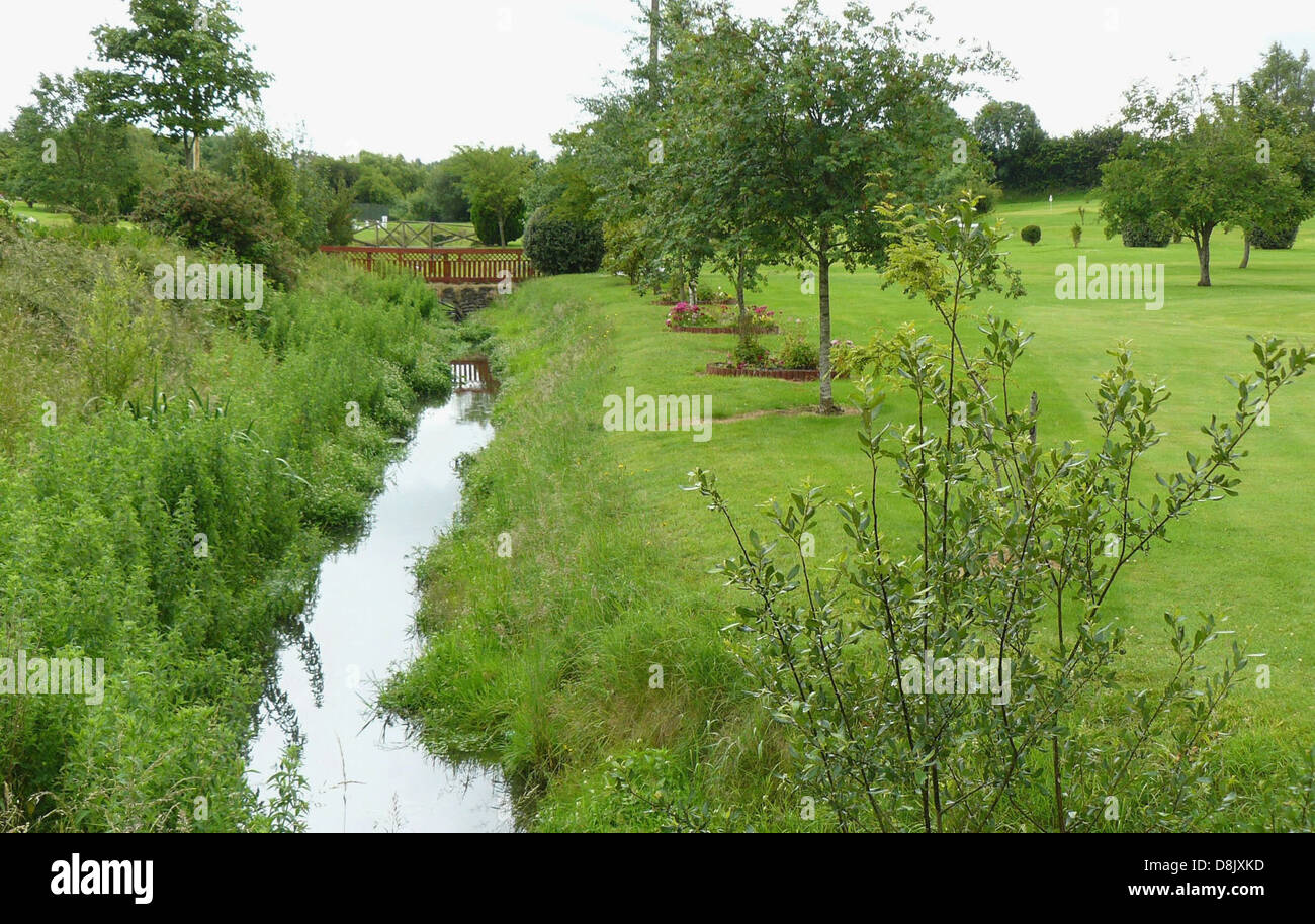 The Pinkeen Stream meanders through a lush green forest, with clear ...