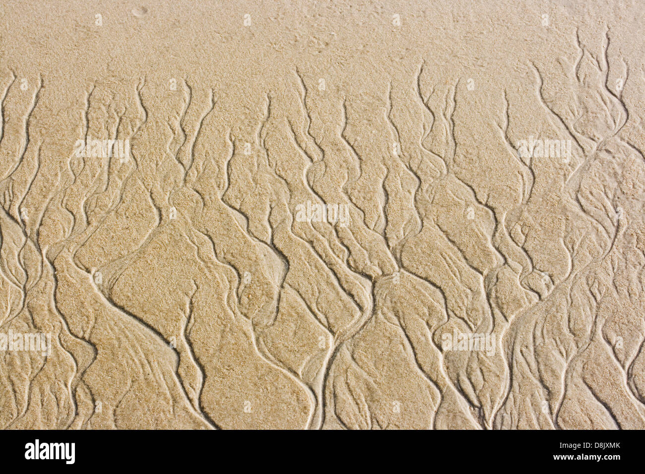 Sandy wave after outflow Stock Photo - Alamy