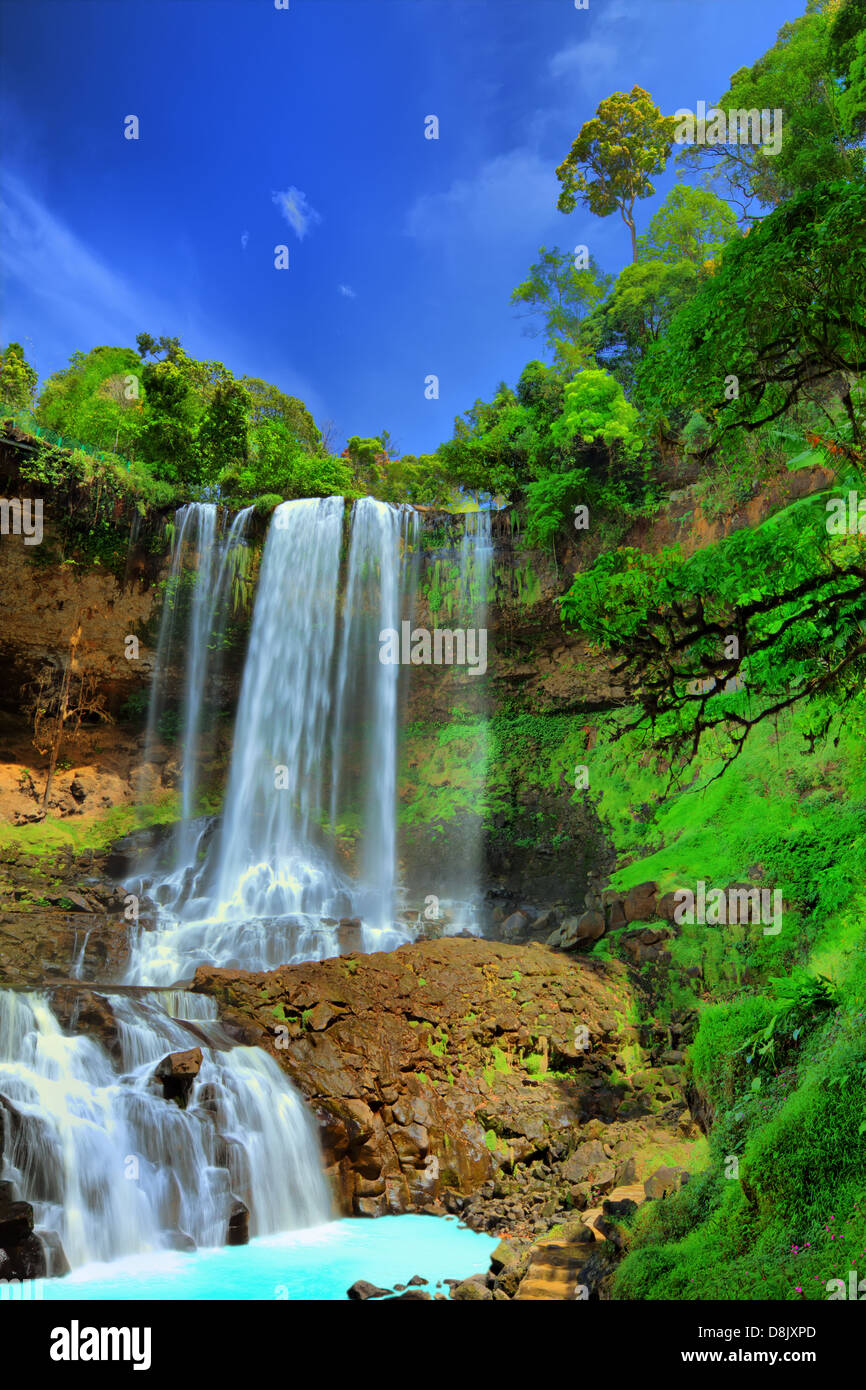 Dambri vietnam hi-res stock photography and images - Alamy