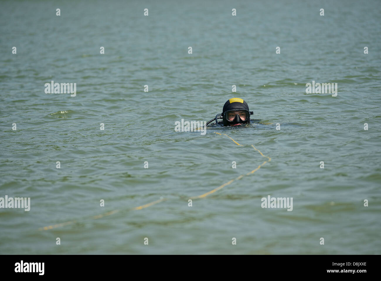 Diver about to dive in Stock Photo - Alamy