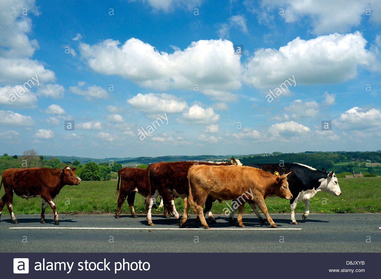 Minchinhampton High Resolution Stock Photography and Images - Alamy