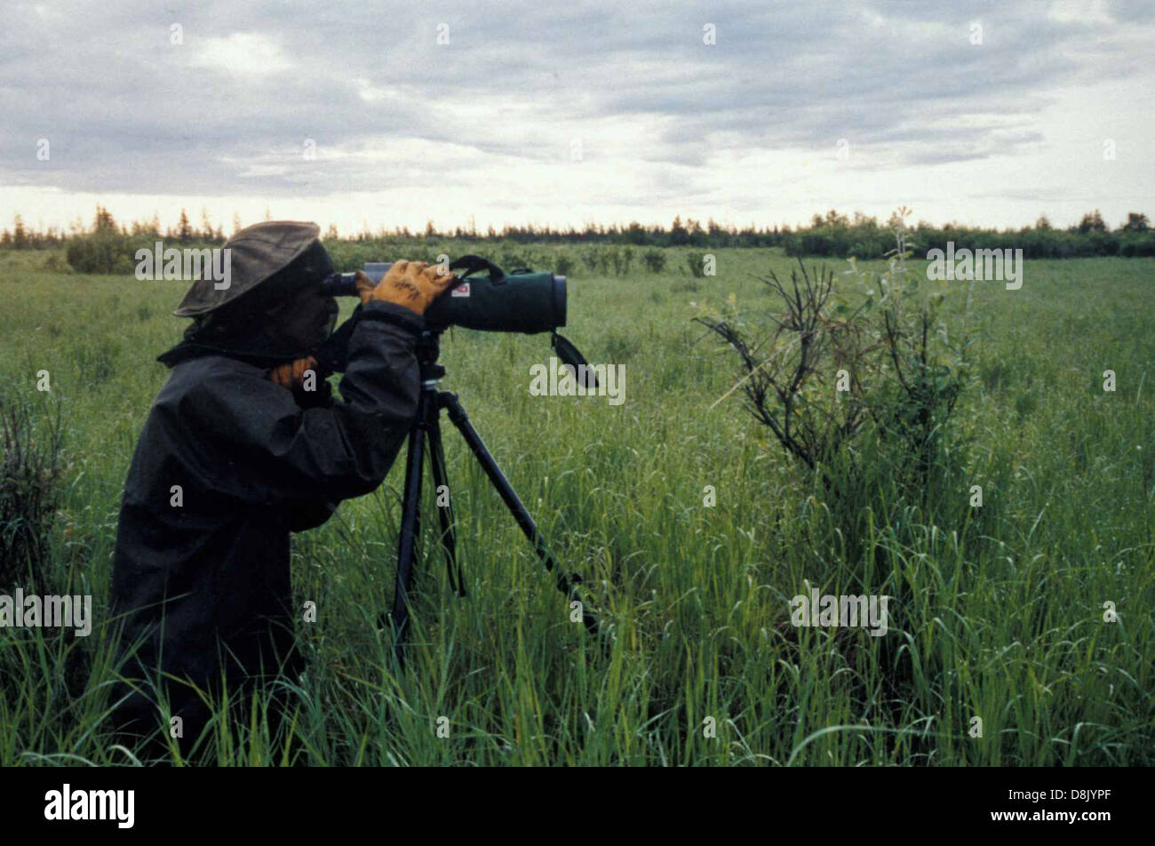 A professional photographer is using a telescopic camera to capture ...