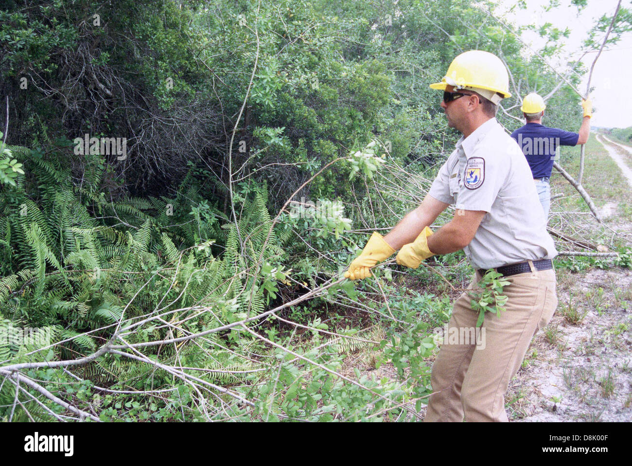 Efforts are being made to control the spread of Brazilian pepper plants ...