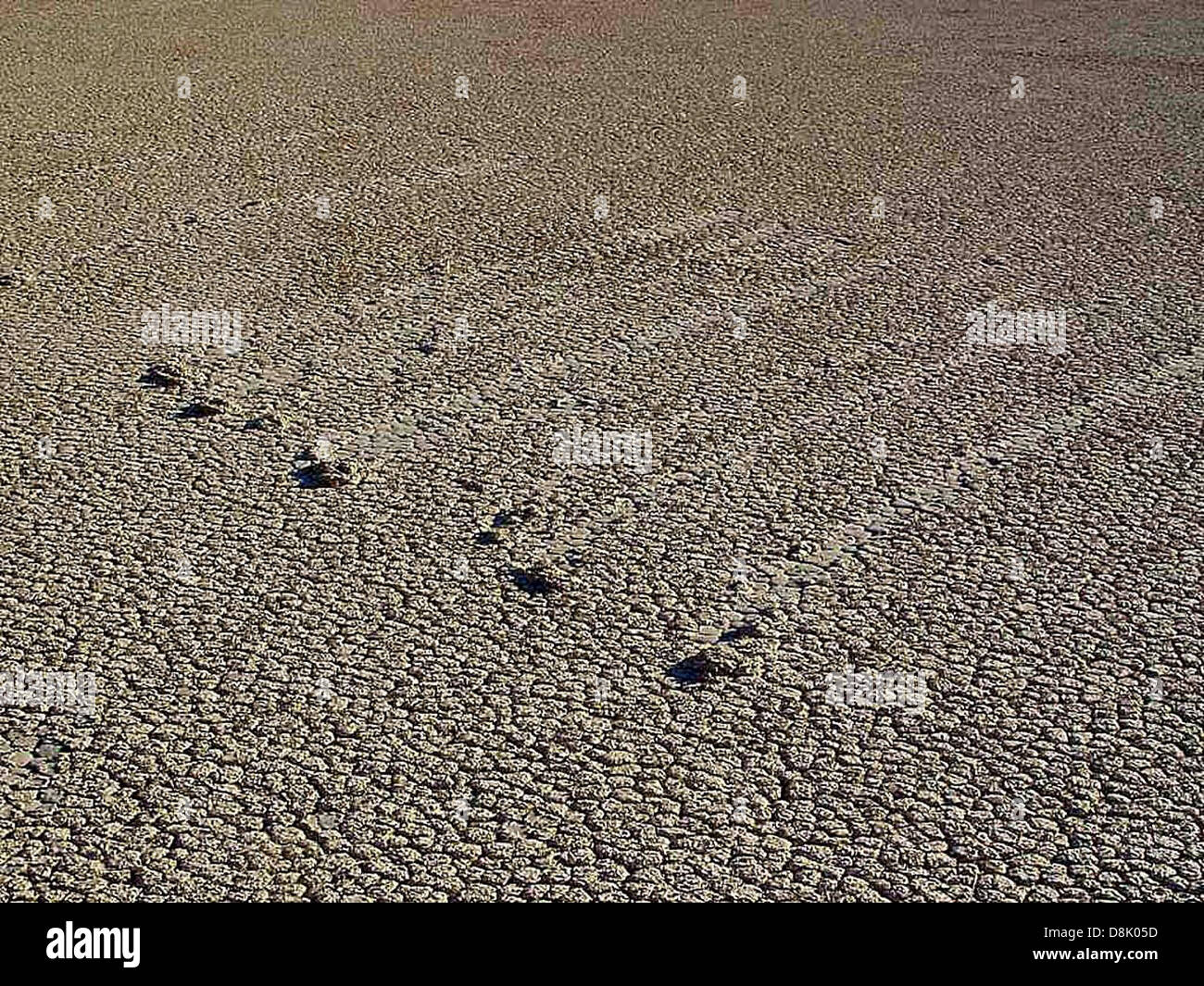 This image shows mud tracks on the Racetrack Playa, a dry lakebed in ...